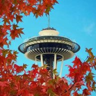 Clean out on horizontal drain line | Terry Love Plumbing Advice ...