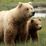 jjvb | Terry Love Plumbing Advice & Remodel DIY & Professional Forum