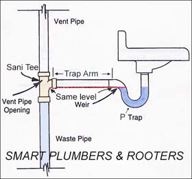 Kitchen sink drain through floor, p trap arm length | Terry Love ...
