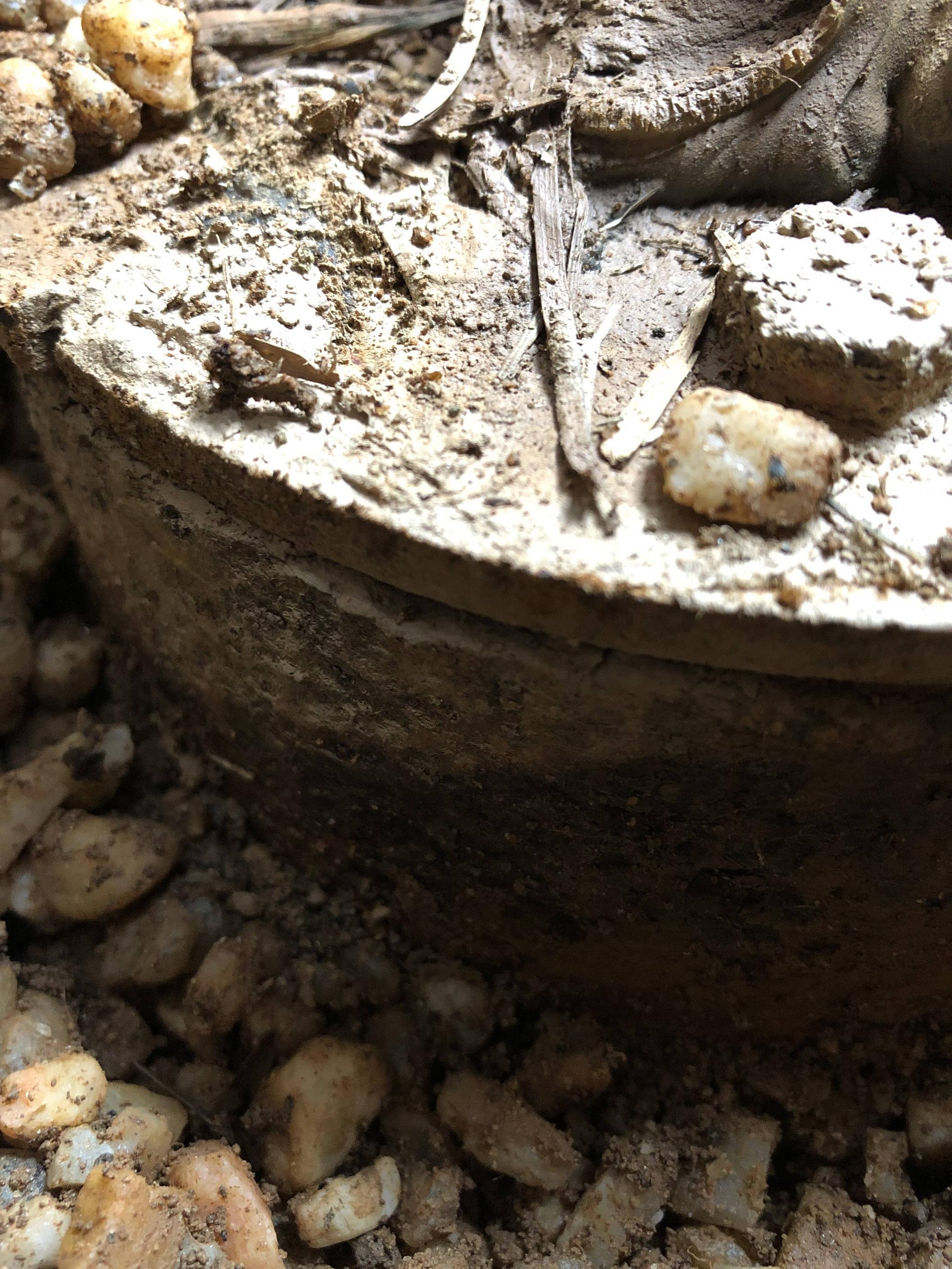 Oops! We ran into some problems. | Terry Love Plumbing Advice & Remodel ...