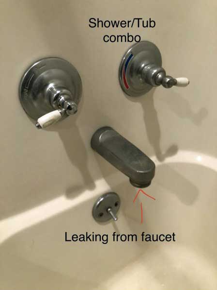 Delta 2300 conversion ? | Terry Love Plumbing Advice & Remodel DIY ...